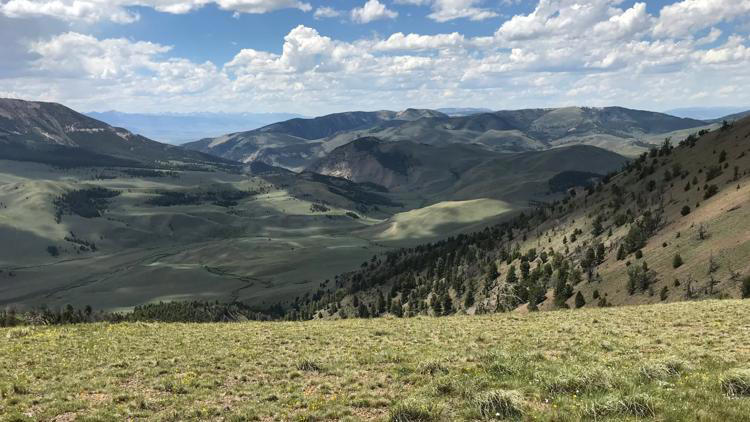 Fire danger climbs to high in Idaho's Salmon-Challis National Forest
