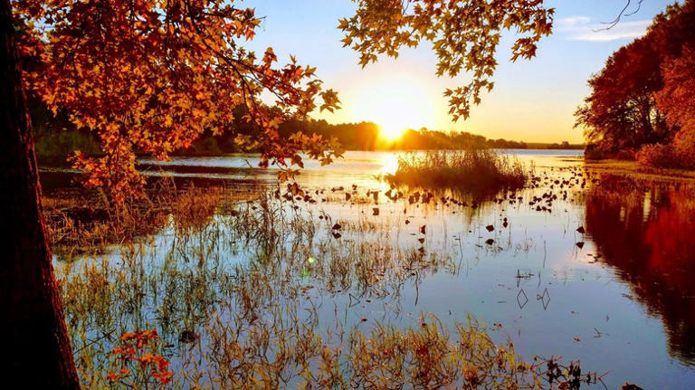 East Texas' scenic state park is a lovely lake escape with campsites ...
