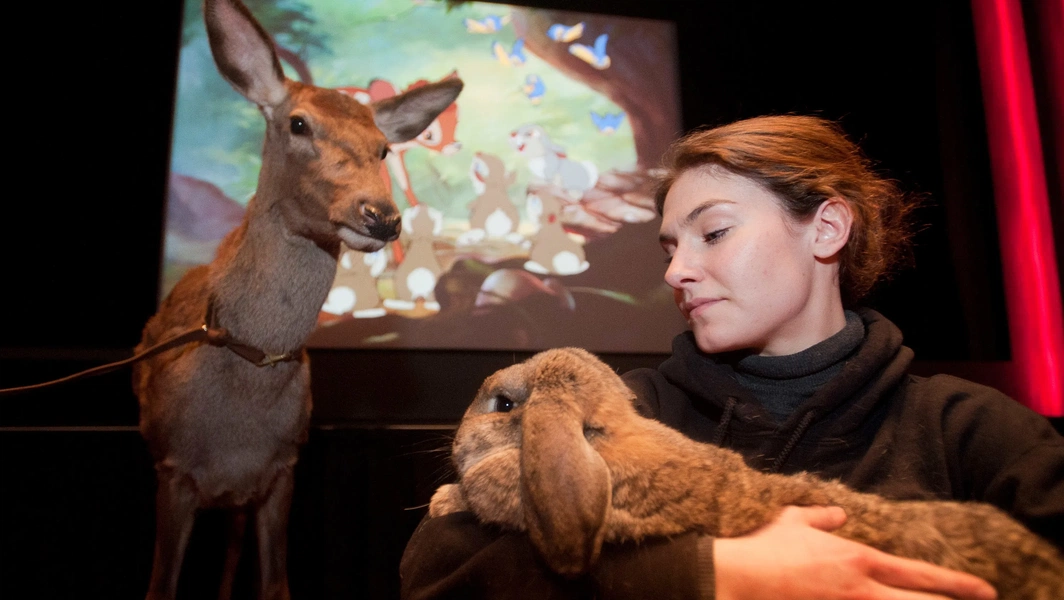 Bambi’s enduring cultural and ecological legacy