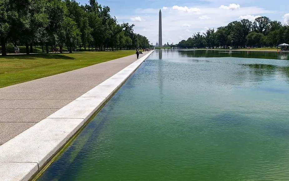 Reflecting pool turns green after multimillion-dollar Trump renovation