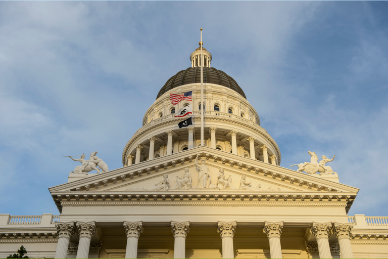 The states using AI to make decisions about your life