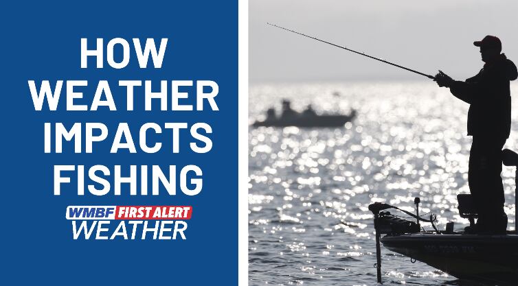 Fishing forecast: How wind, water temp & air pressure change the bite
