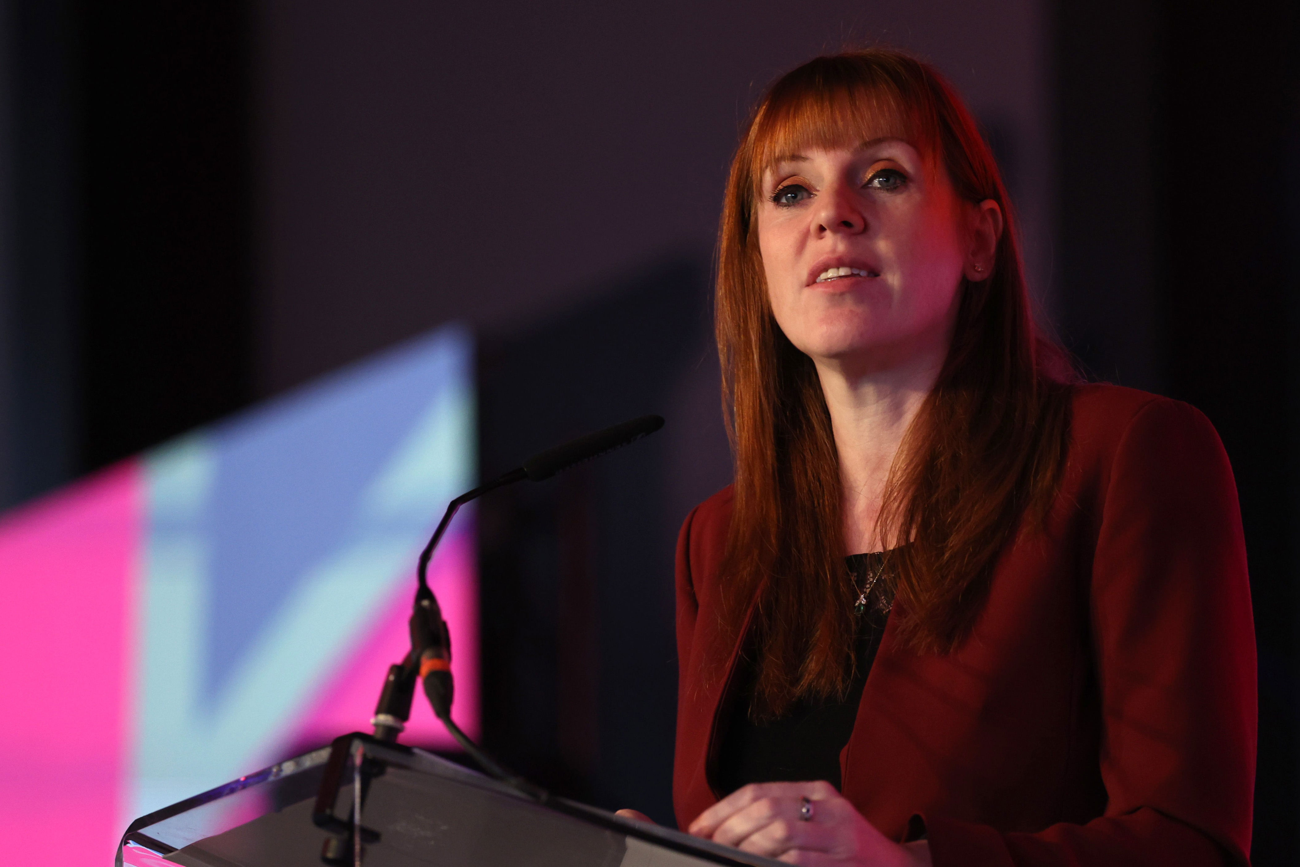Rayner blasts Reform UK candidate as Farage’s ‘sexist puppet’