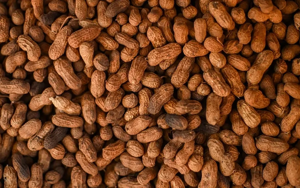 Dietitians highlight peanuts as a nutrient-packed breakfast choice
