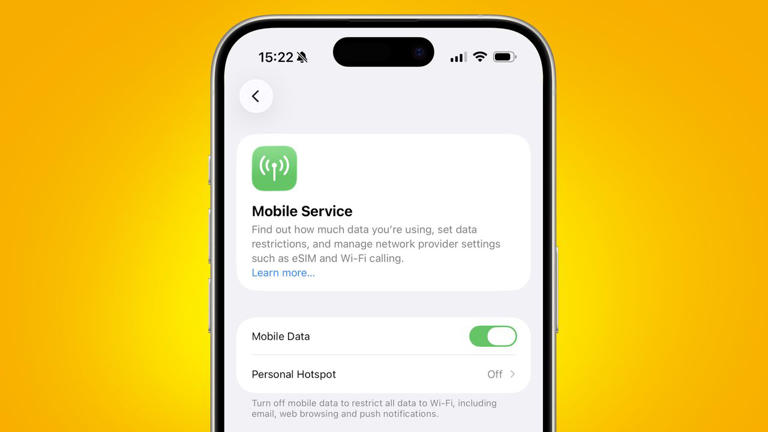 How to check your data usage on iPhone or Android, and save money in ...