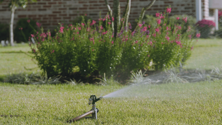 The science behind a perfect lawn