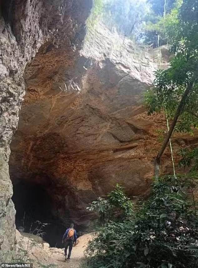 Another woman falls to her death after plunging 100ft during cave ...