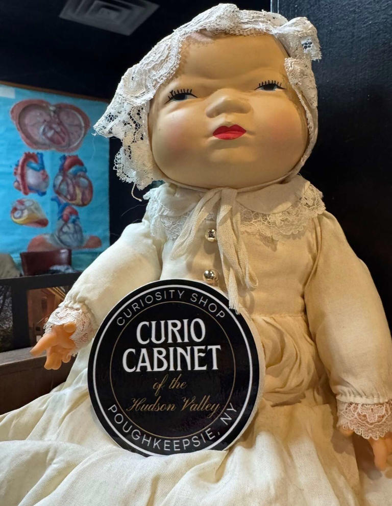 Where's Agnes? Poughkeepsie oddities shop accidentally sells mascot doll.
