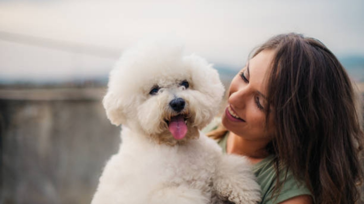 These 15 loyal dog breeds hate being apart from their humans