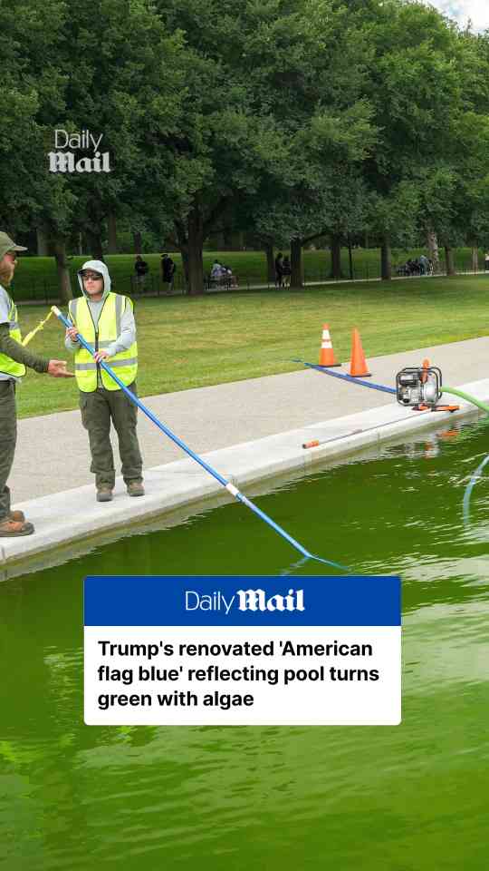 Trump renovation faces scrutiny as algae returns to reflecting pool