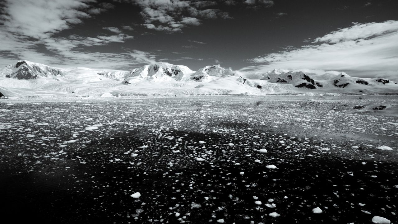 A Texas-size chunk of winter sea ice is missing from Antarctica — and ...