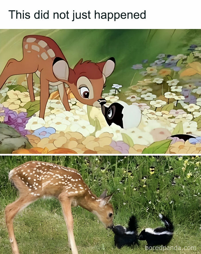 Cute & quirky: 47 hilarious animal memes and pics to turn your frown around