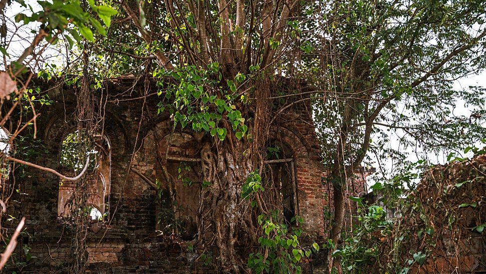10 striking scenes of nature reclaiming human creations