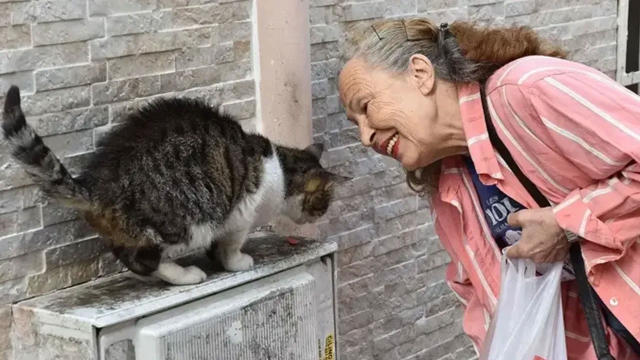 Evlat acısına dayanamadı! 'Panter Emel'den acı haber