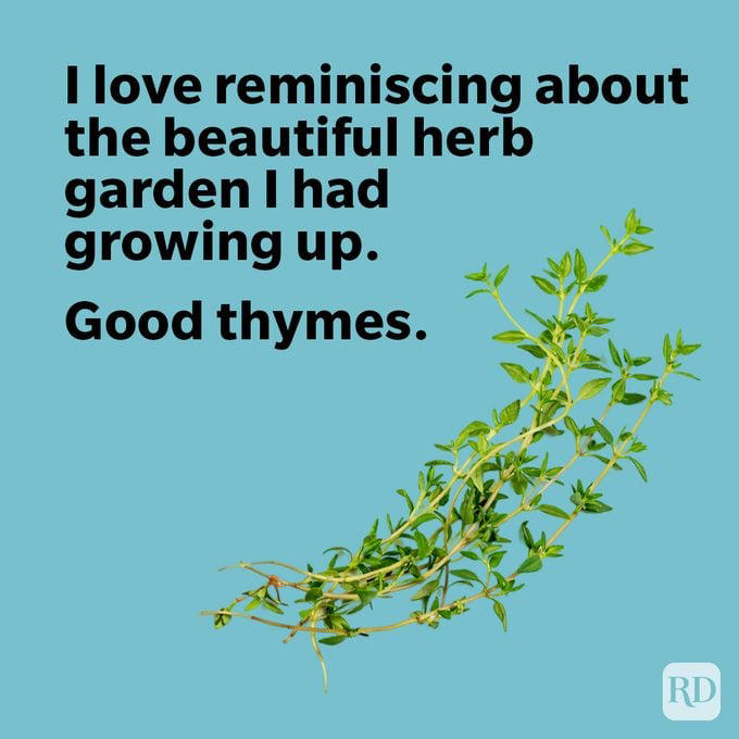 250 dad jokes that are actually pretty funny