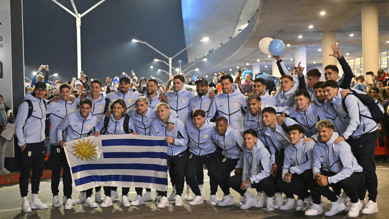 Anger as World Cup team met by sniffer dogs upon arrival