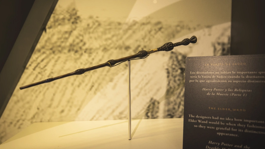 4 iconic wands of Harry Potter characters