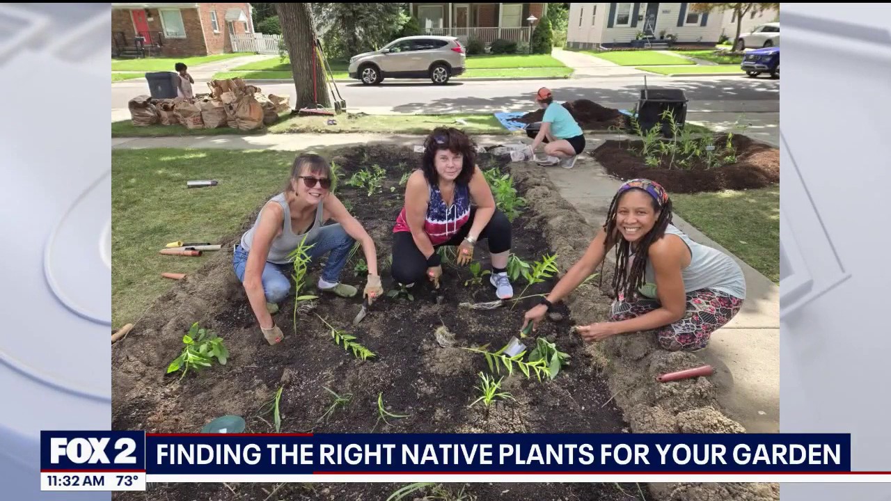 Finding the right native plants for your garden