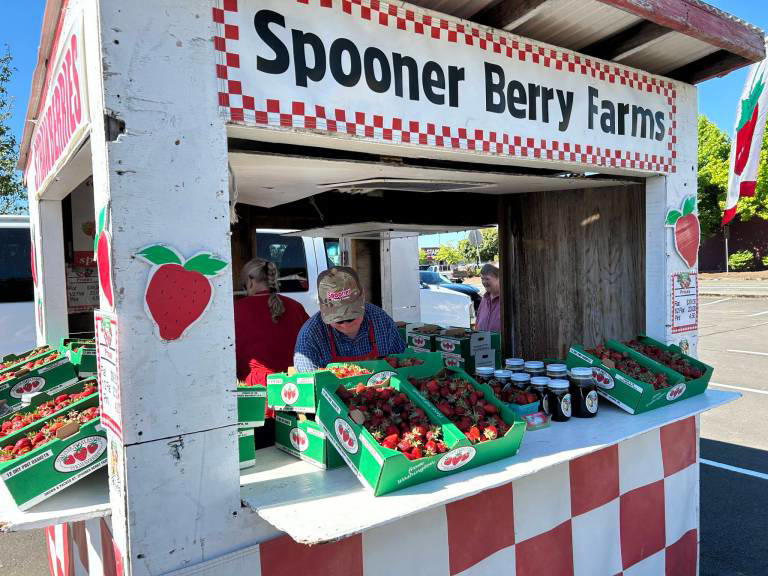 Spooner Berry Stand opens up for the freshest of strawberries