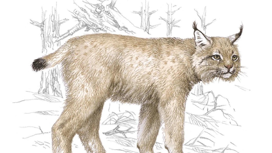 12 leaders and their remarkable animal companions