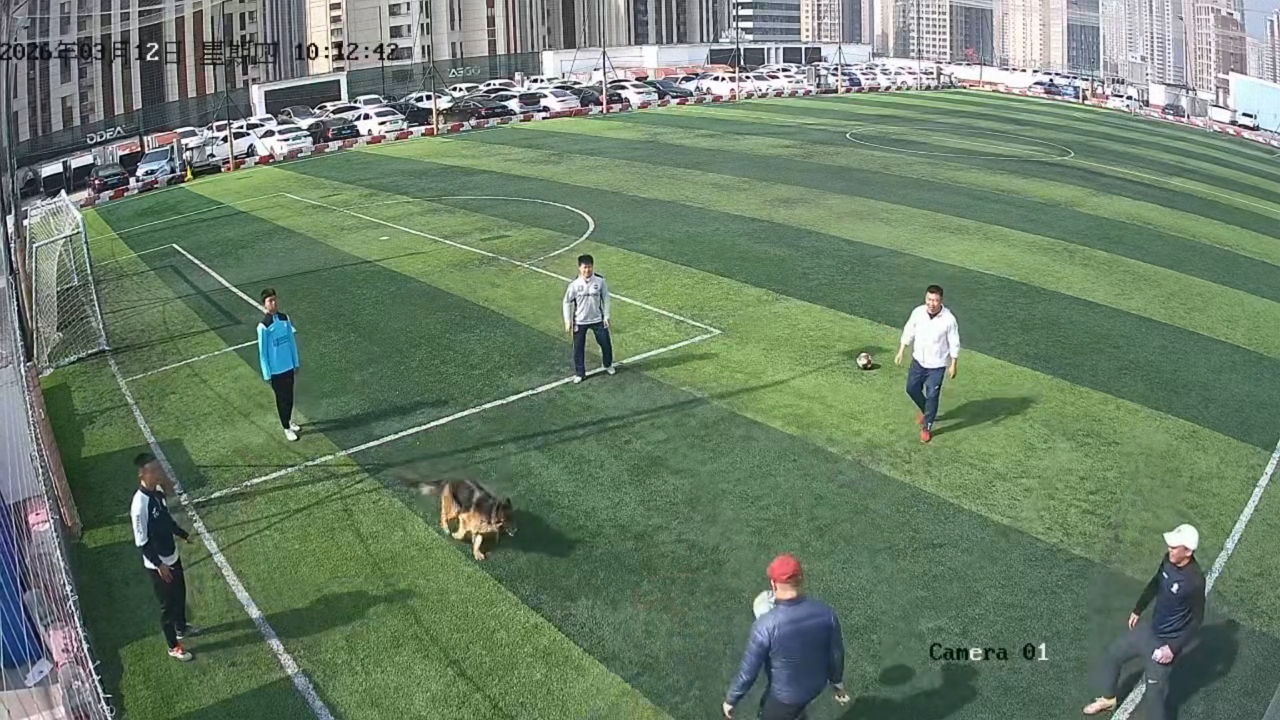 German shepherd joins friendly football match in China