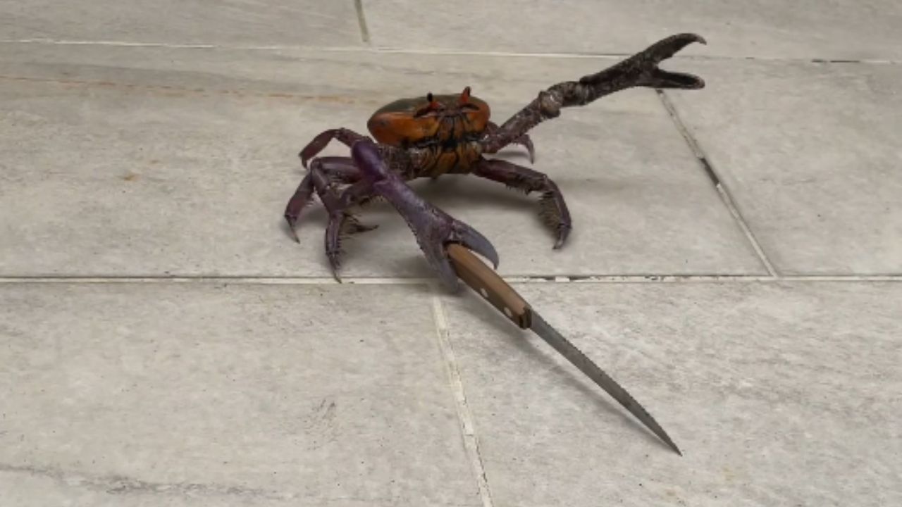 Shocking crab stages daring escape with knife in claw