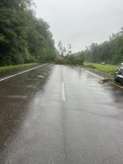 Fallen tree blocks road, damages car in West Feliciana Parish