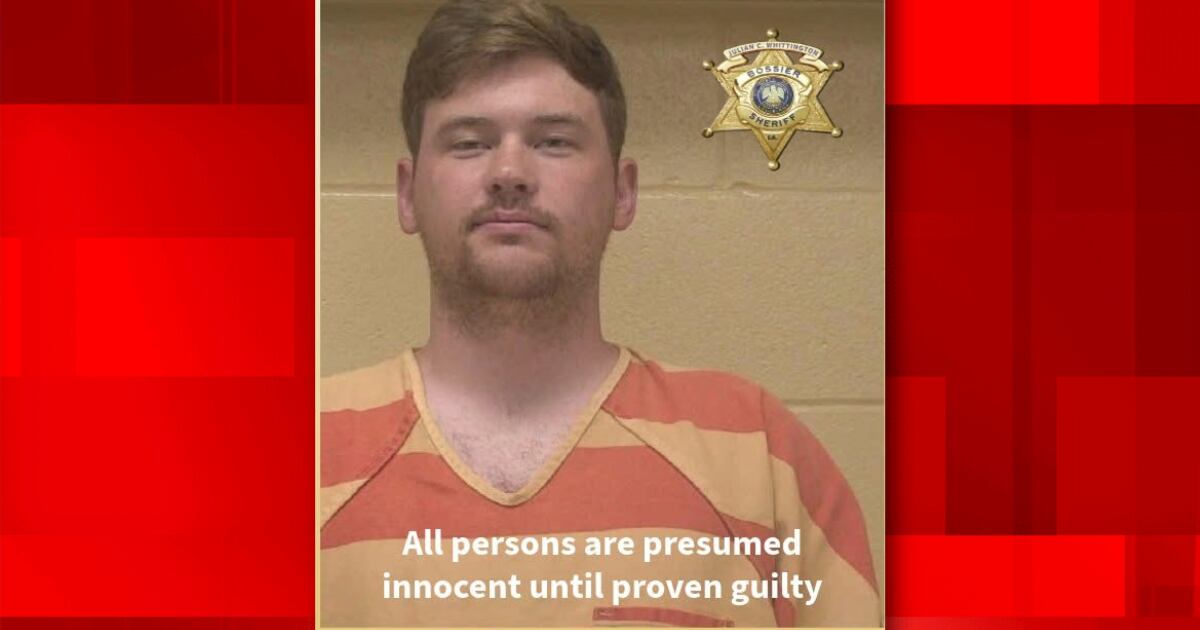 Bossier Parish man arrested, charged with 40 counts of possession of ...