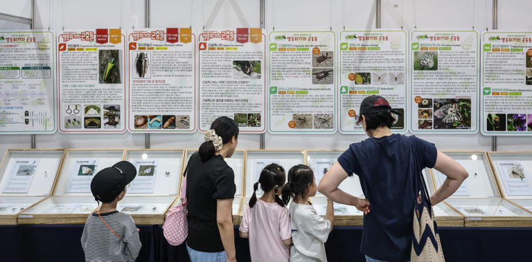 Insect event sparks safety concerns for exhibited creatures
