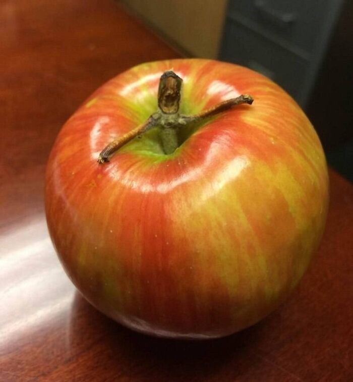 48 examples of ordinary objects looking like something else entirely