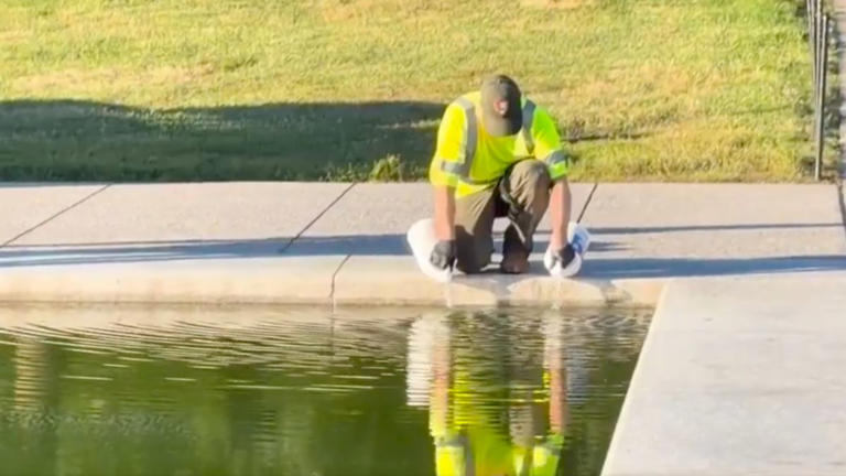 MAGA concocts ridiculous conspiracy theory for Reflecting Pool turning ...
