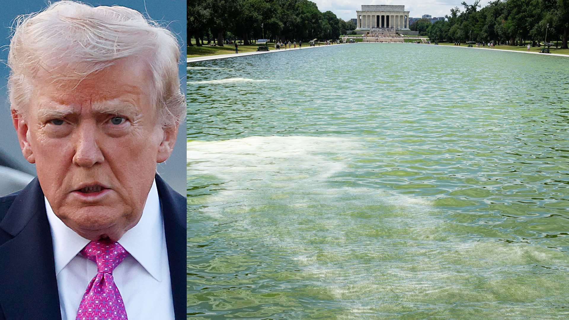 Visitors disappointed with algae-filled Lincoln reflecting pool after ...
