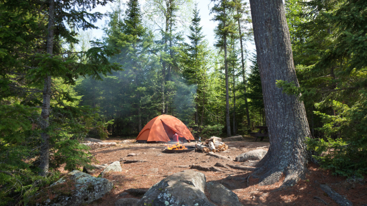 14 national forest campsites across the US that are great for a summer ...