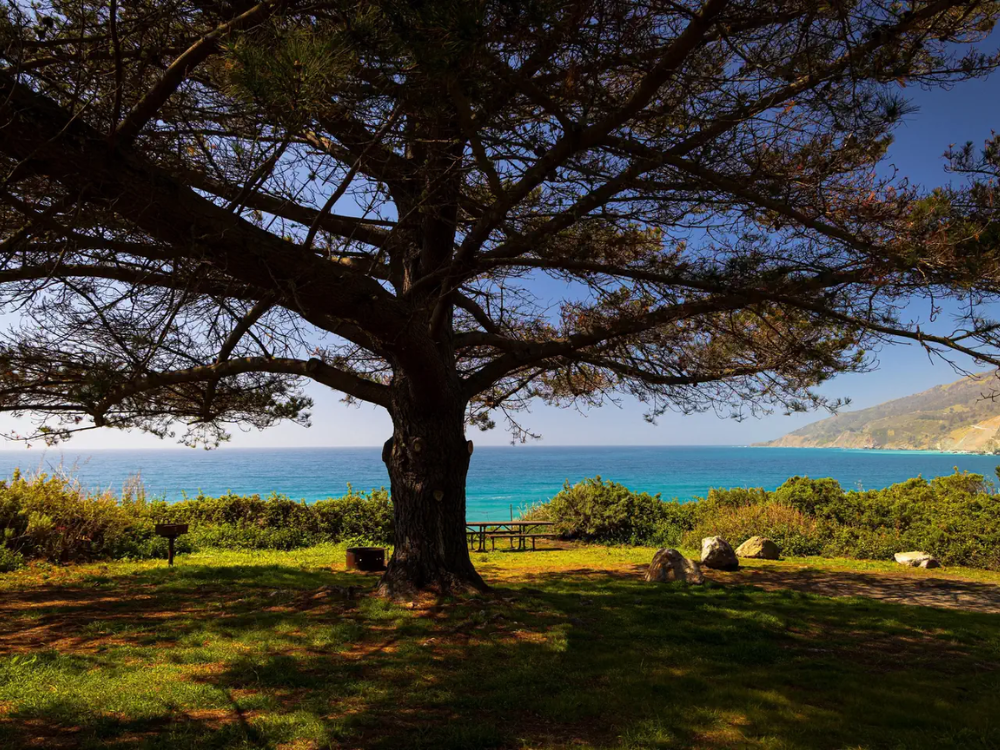 14 national forest campsites across the US that are great for a summer ...