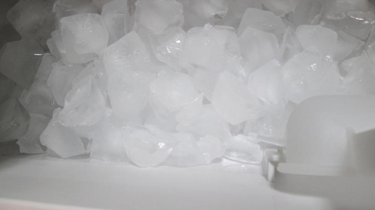 Here's what really happens if you never clean your ice maker