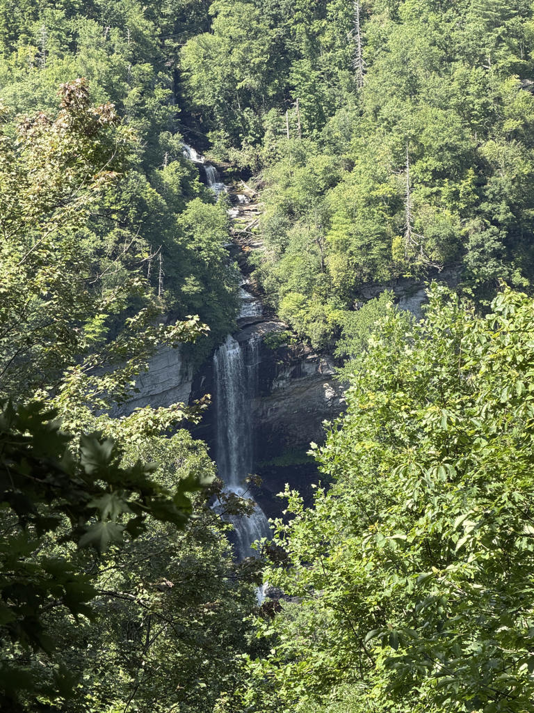3 South Carolina hikes less than 2.5 hours from Charlotte