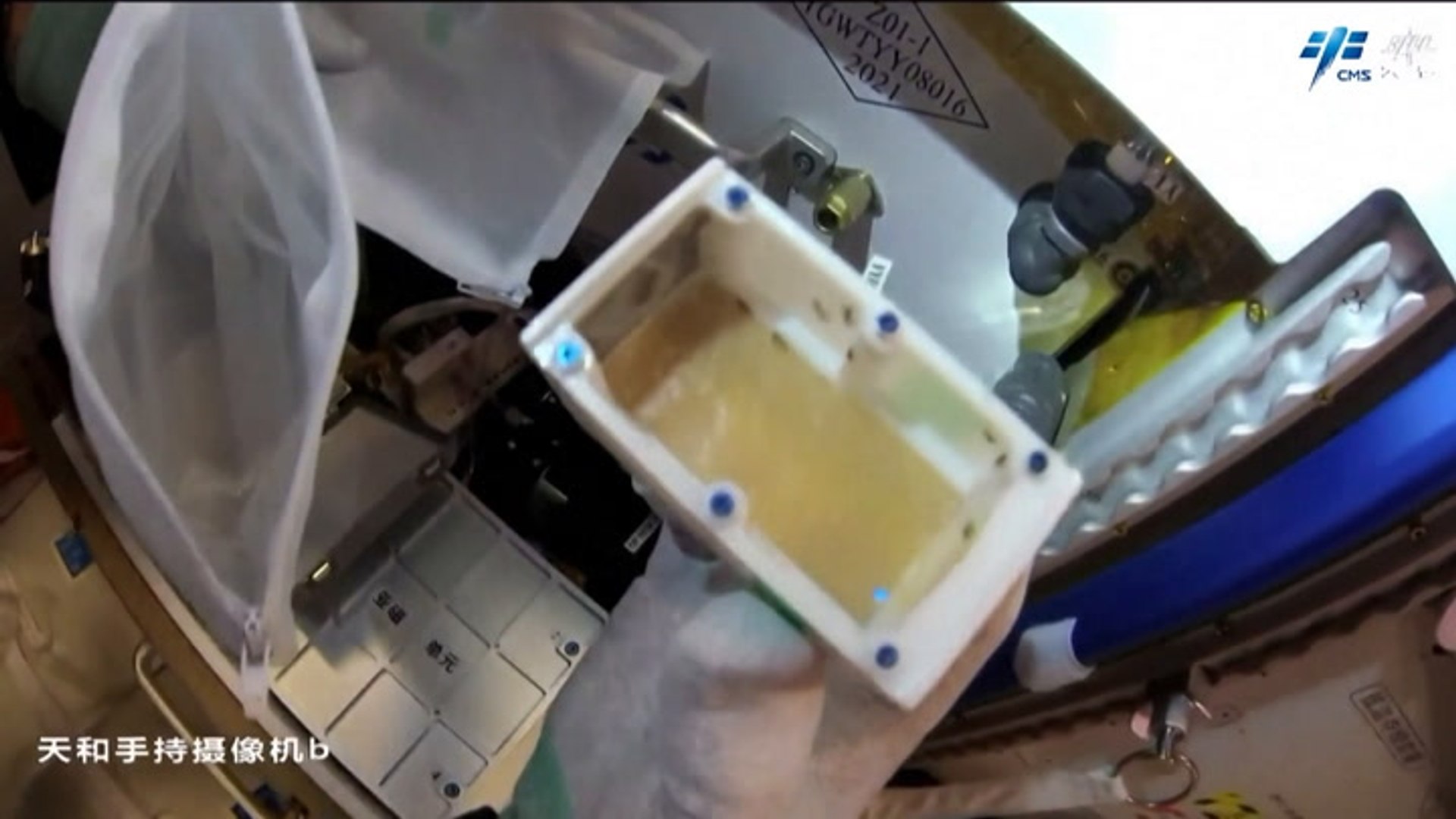 Fruit flies in space - Chinese astronauts show experiment on Tiangong ...