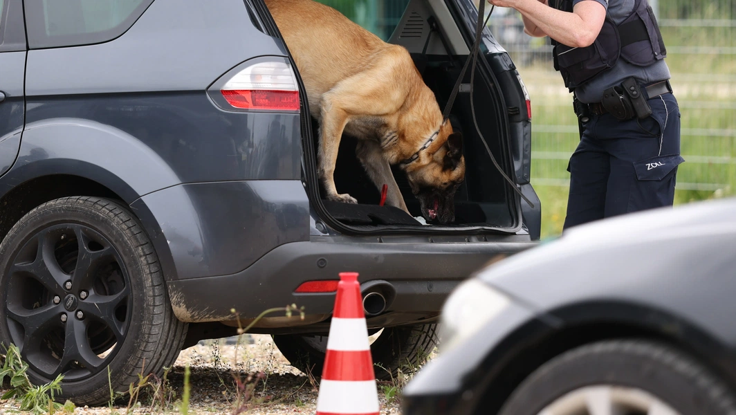 How dogs detect untrustworthy people