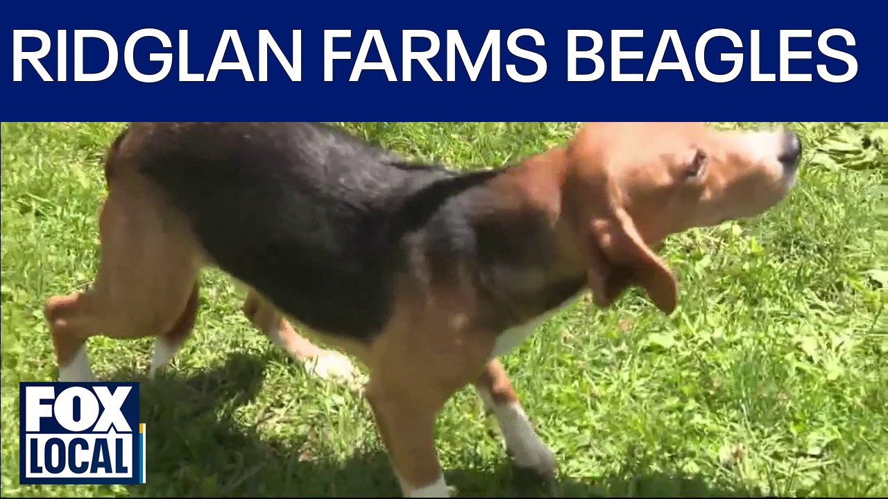 Ridglan Farms shutting down, all dogs being freed
