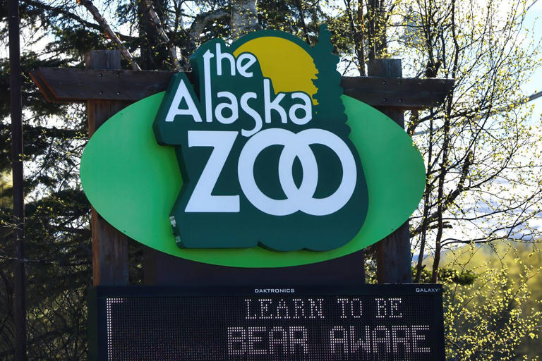 US zoo responds to concern over 'upsetting' viral fight between ...