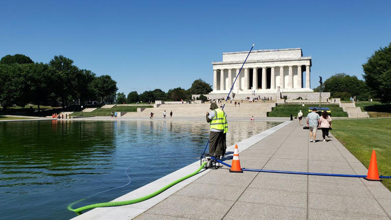 MAGA concocts ridiculous conspiracy theory for Reflecting Pool turning ...