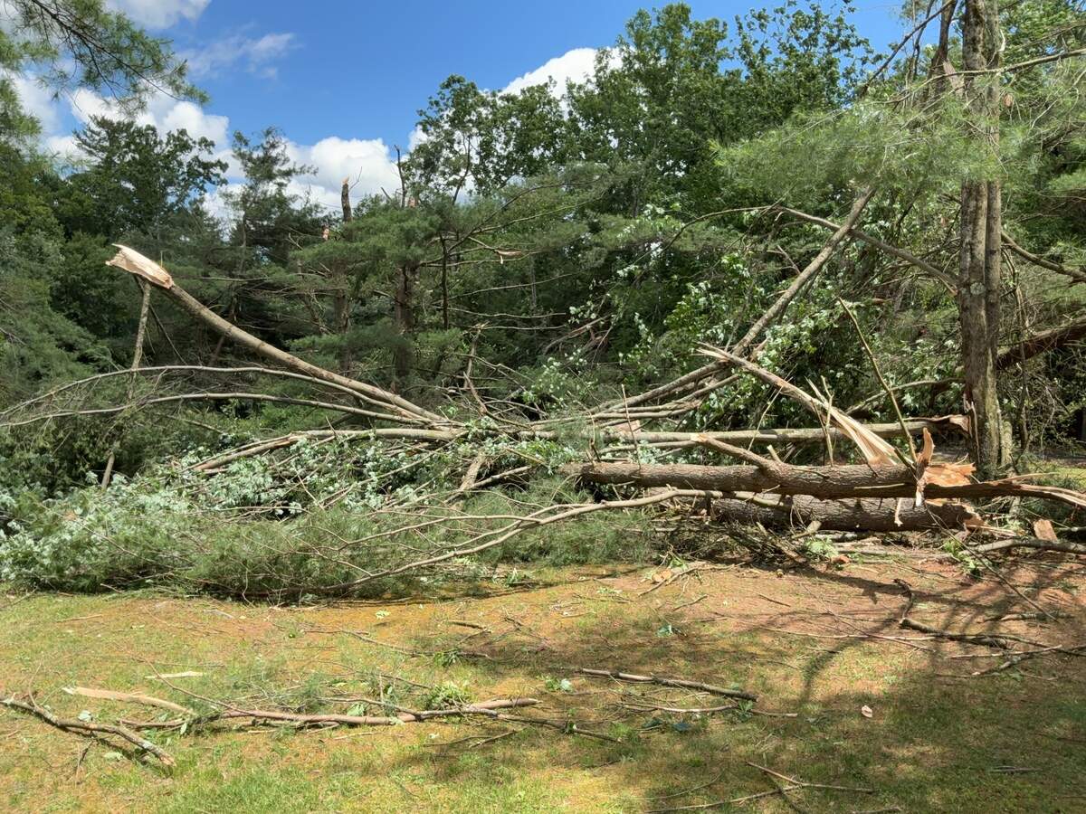 Tornado with 116 mph winds touched down in Centre County over weekend ...