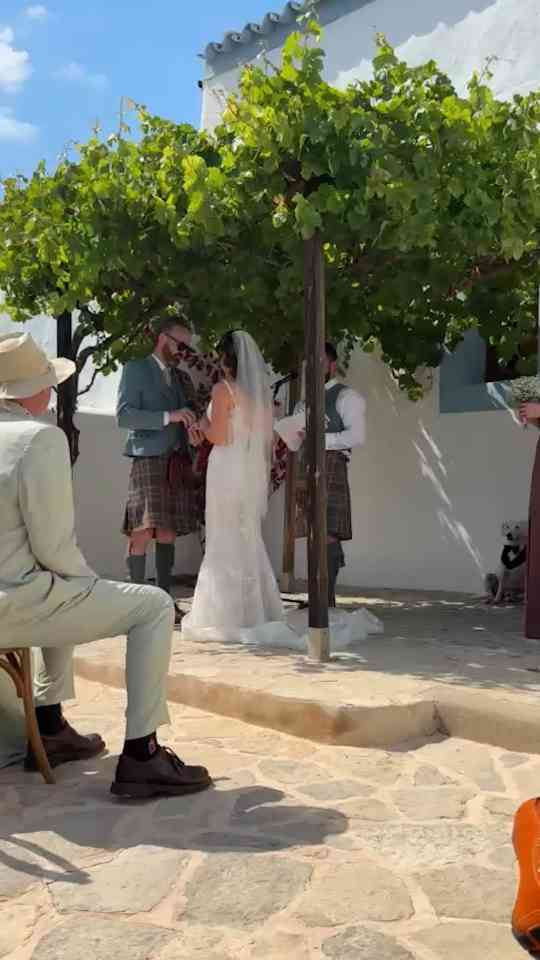 Dog steals the spotlight at wedding ceremony