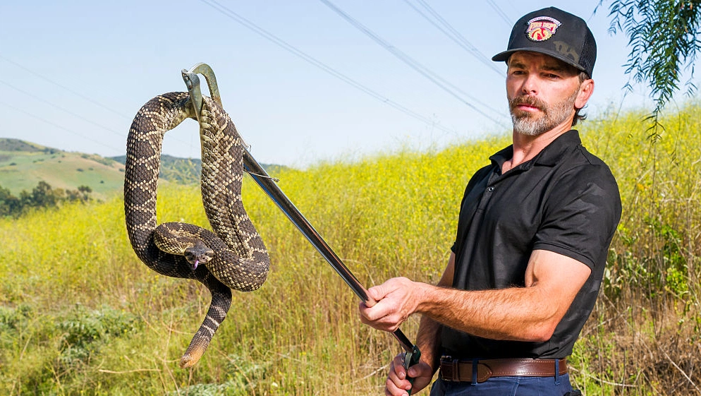 Effective strategies to keep snakes away
