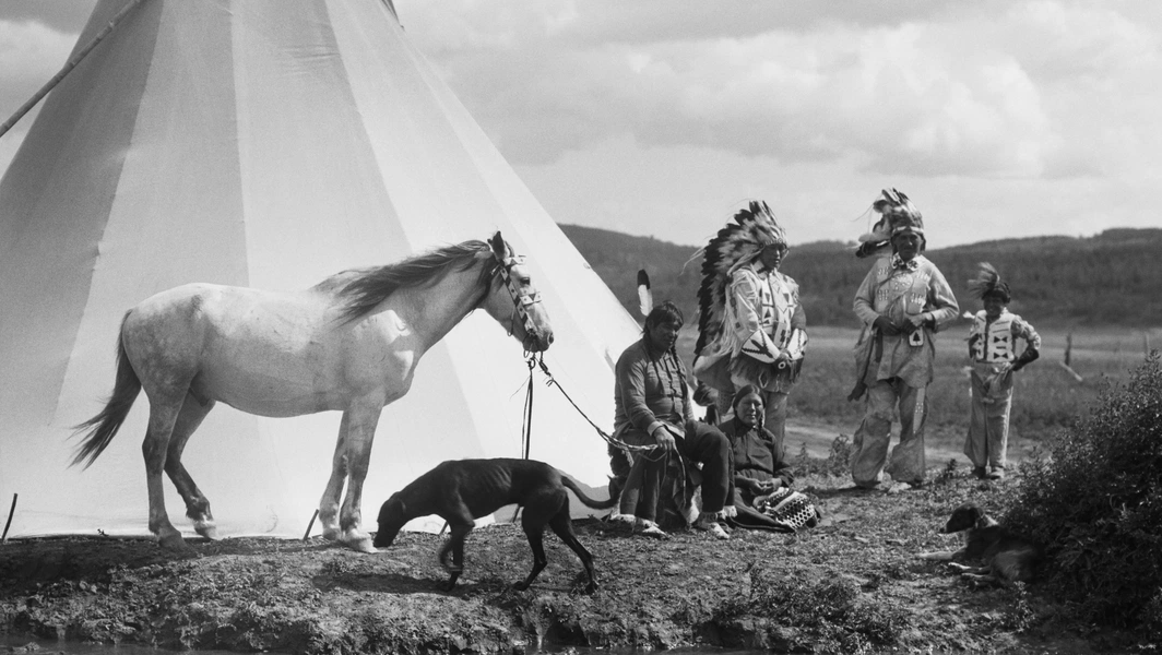 History and traits of Native American dogs