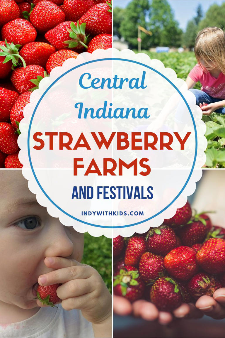 8 sweet farms for strawberry picking near me | Indianapolis strawberry ...