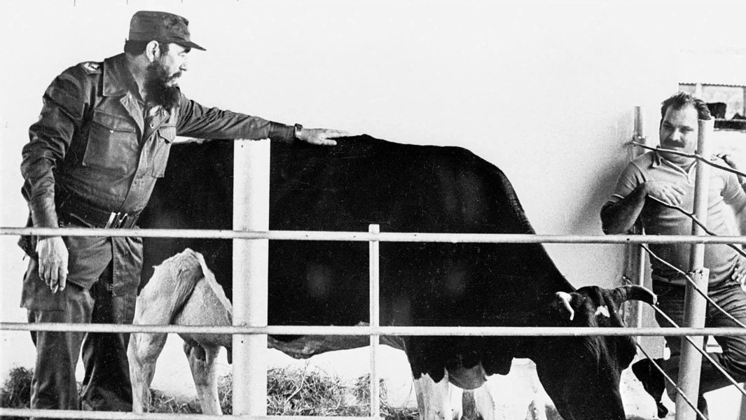12 leaders and their remarkable animal companions