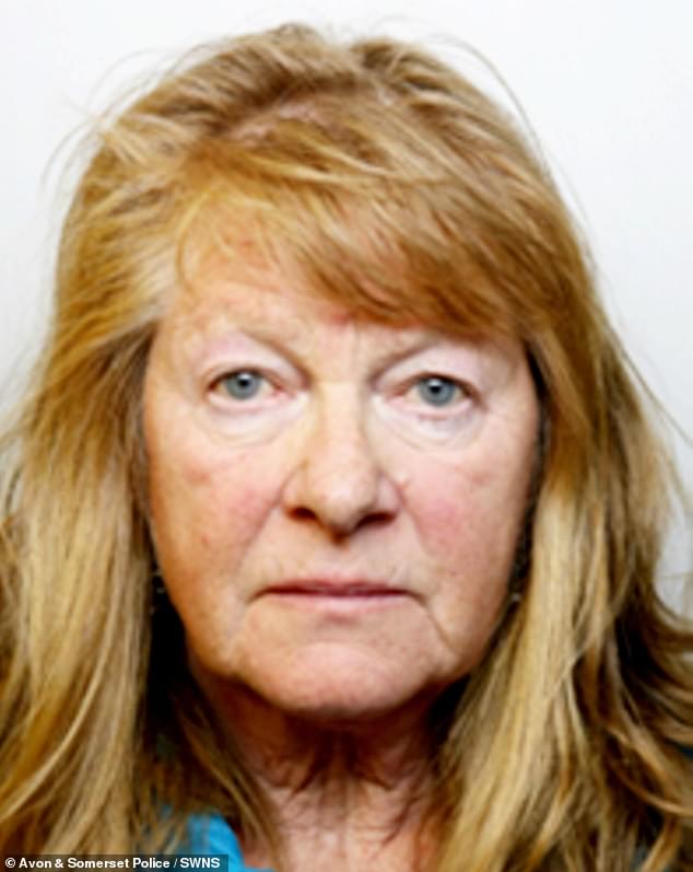 Driver, 69, who killed woman walking to Take That concert is jailed for ...