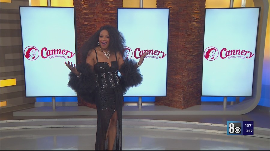 Stop in the name of love a tribute to the music of Diana Ross