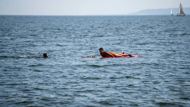 Lifeguard paddles toward screaming swimmer as 11-foot shark drags her ...